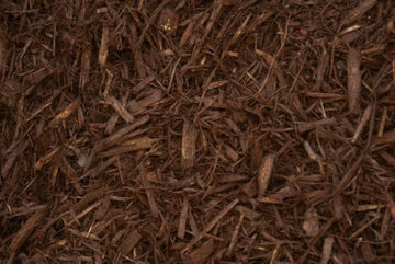Golden Pine Straw – Golden Pinestraw